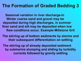 Sedimentary structures smallas | PPT