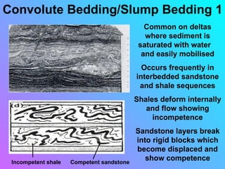 Sedimentary structures smallas | PPT