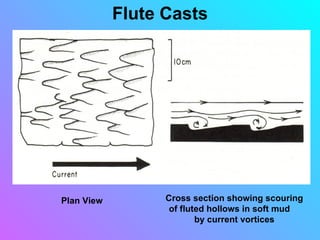 Sedimentary structures smallas | PPT