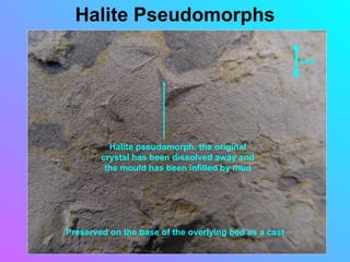 Sedimentary structures smallas | PPT