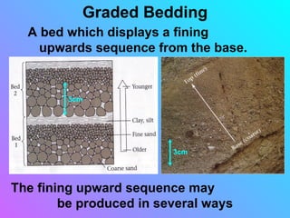 Graded Bedding Diagram