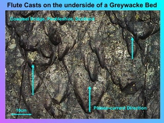 Groove Casts
