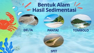 SEDIMENTASI LAUT (Sedimentasi Marine).pptx