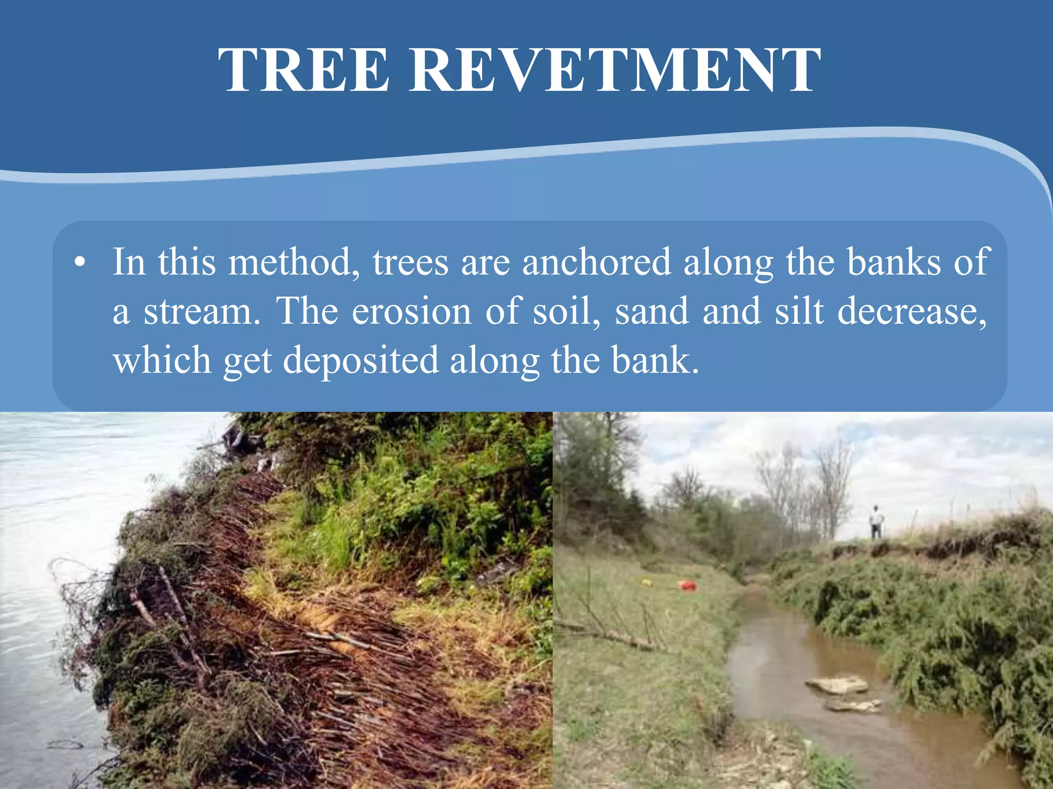 Sedimentation | PPTX