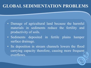 Sedimentation | PPTX