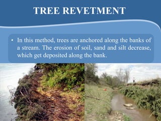 Sedimentation | PPTX