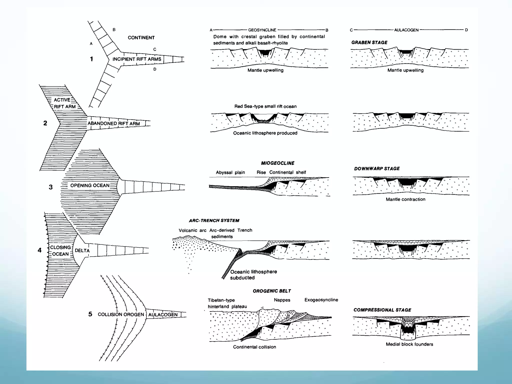 TECTONICS OF SEDIMENTARY BASINS | PPTX