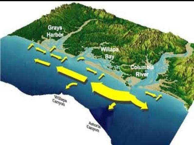 sedimentcell-lesson10-130218002249-phpapp01.pdf