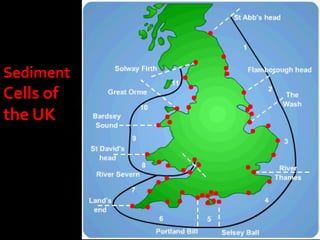 Sediment cell lesson 10 | PPT