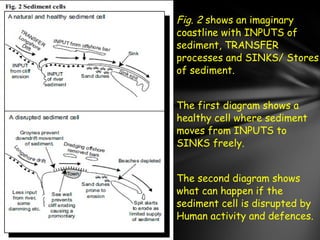 Sediment cell lesson 10 | PPT