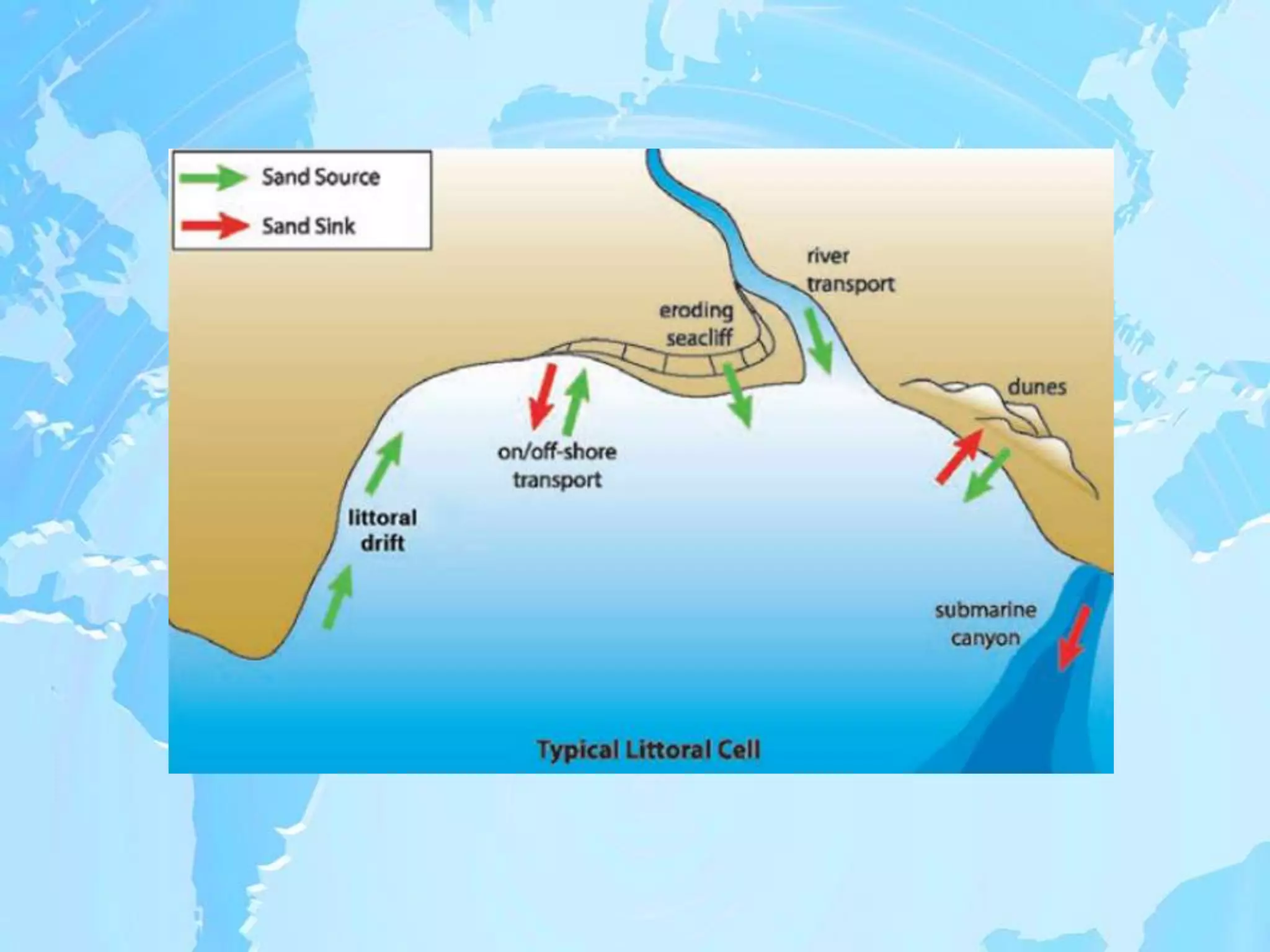Sediment Cells And Sources | PPTX