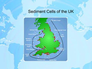 Sediment Cells And Sources | PPTX