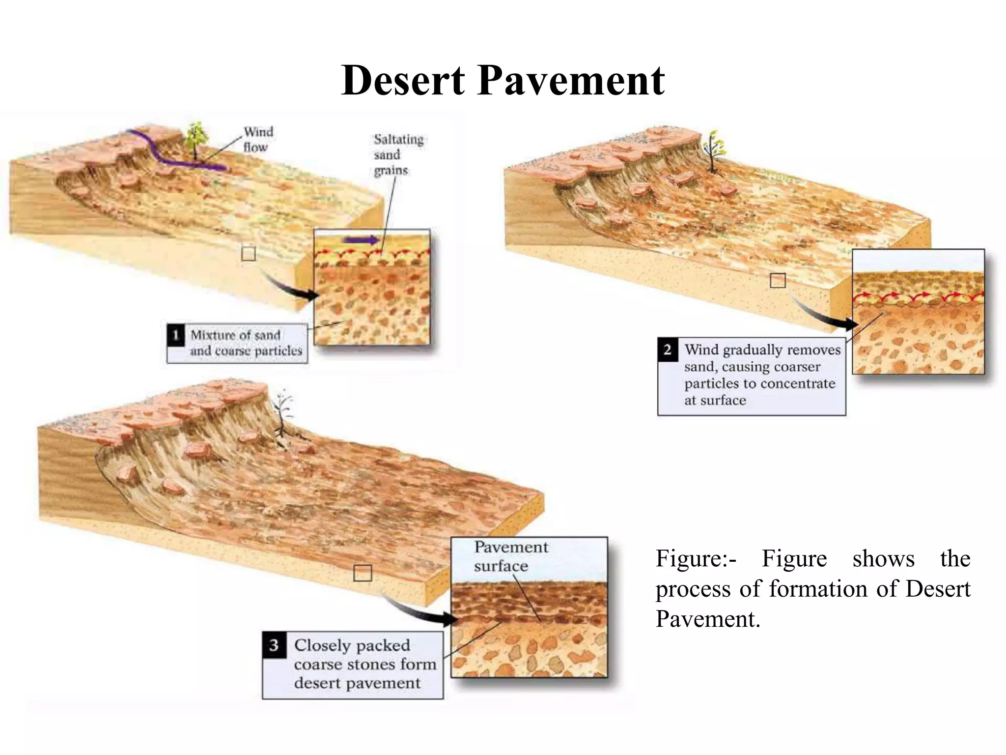 SEDIMENT CHARACTERSTICES IN DESERTIC ENVIRONMNET.pptx