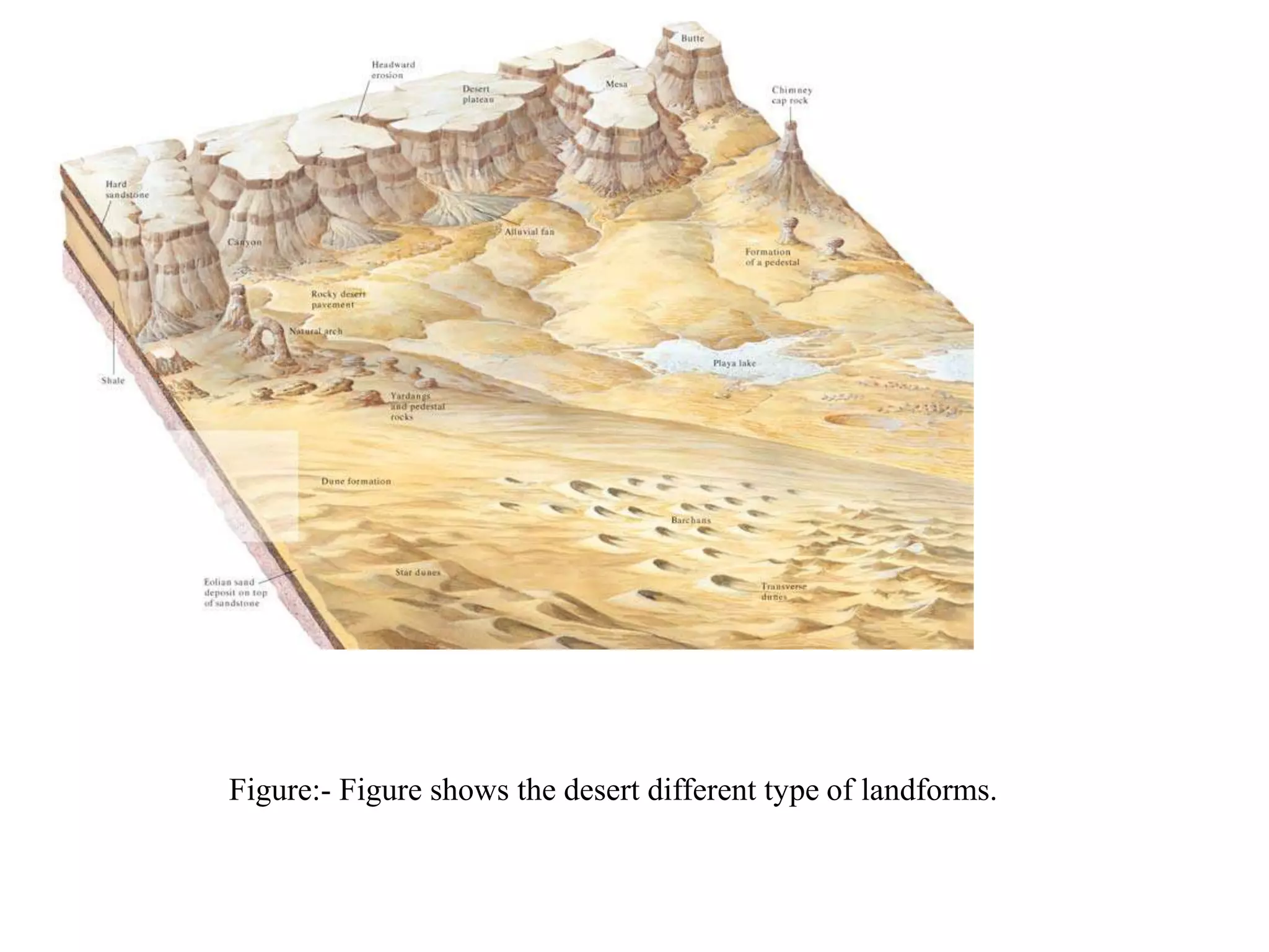 SEDIMENT CHARACTERSTICES IN DESERTIC ENVIRONMNET.pptx