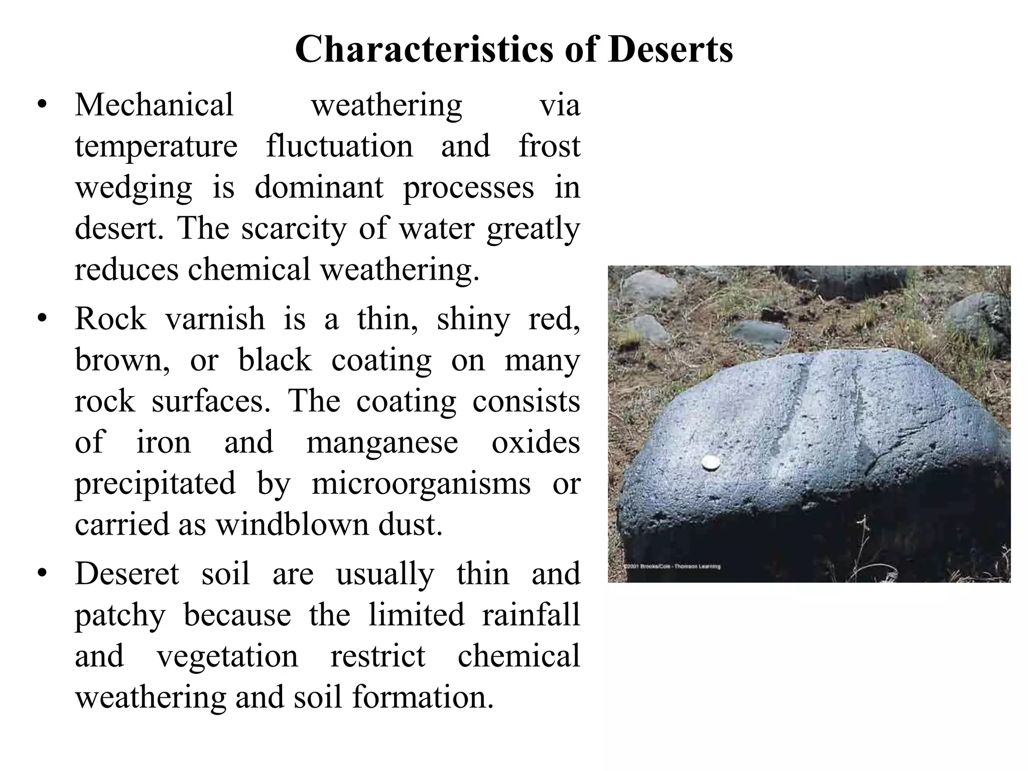 SEDIMENT CHARACTERSTICES IN DESERTIC ENVIRONMNET.pptx