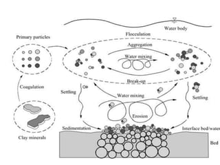Sediment deposition | PPTX