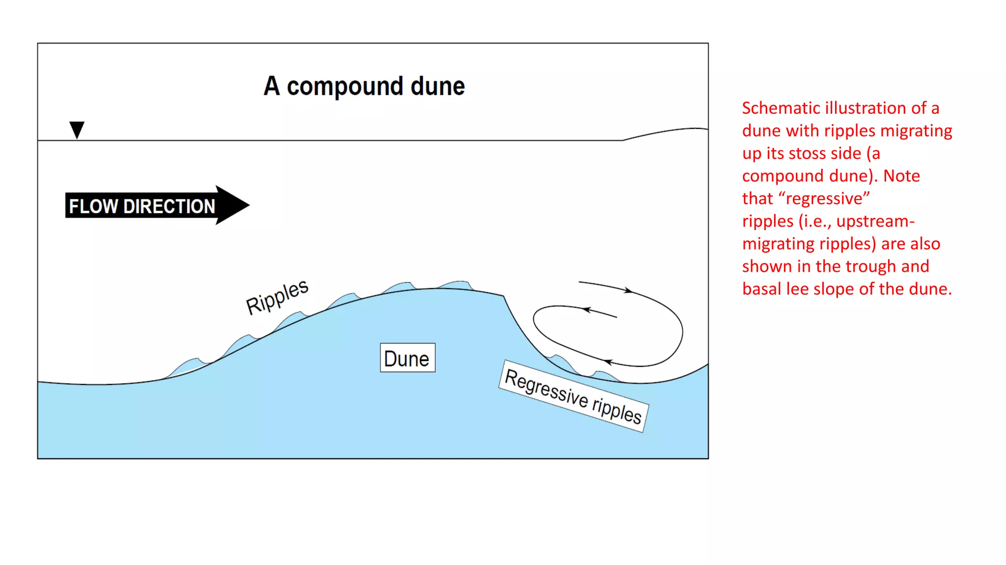 Sedimentary structures, Bedforms and Unidirectional Flow | PDF