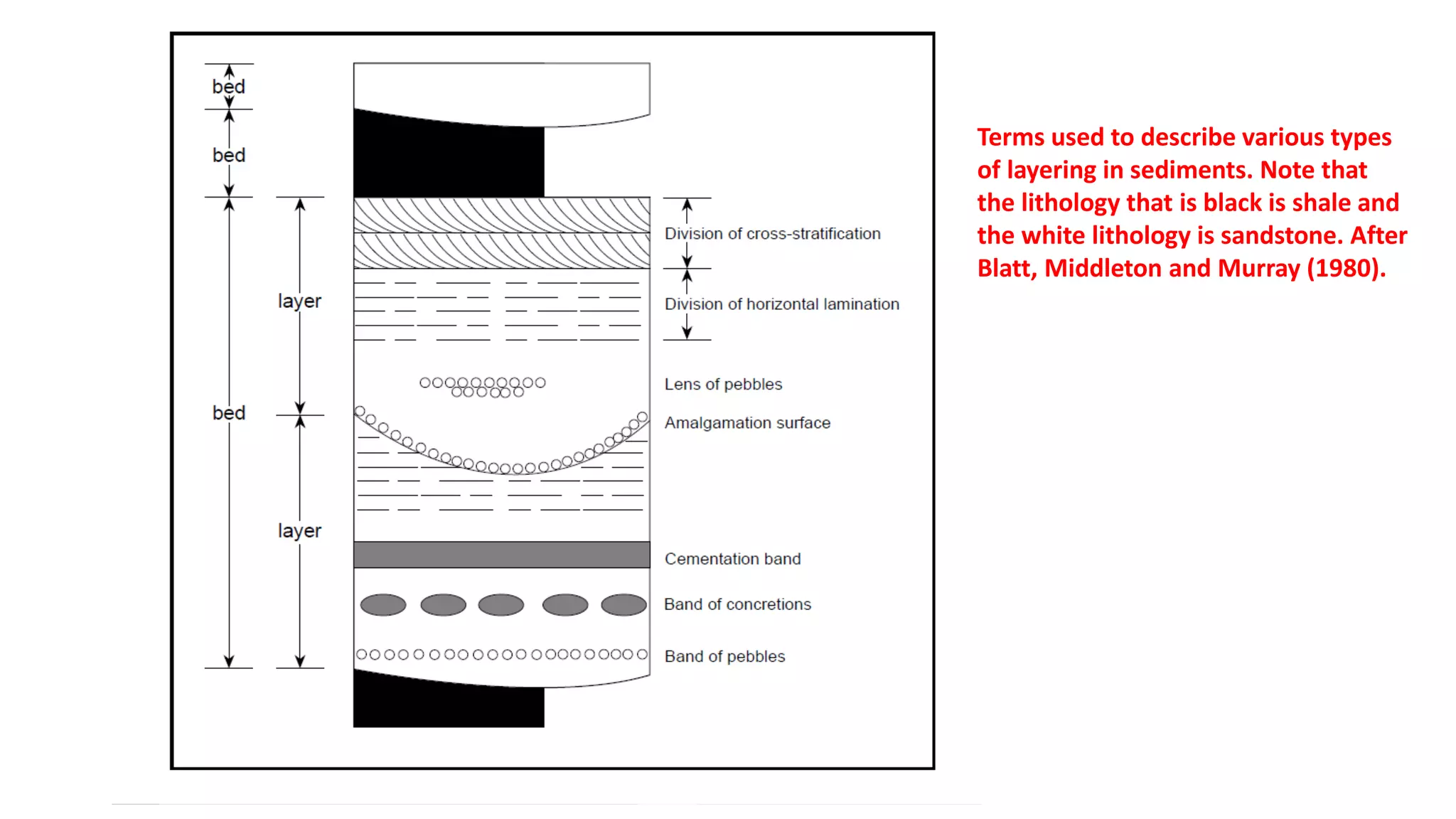 Sedimentary structures, Bedforms and Unidirectional Flow | PDF