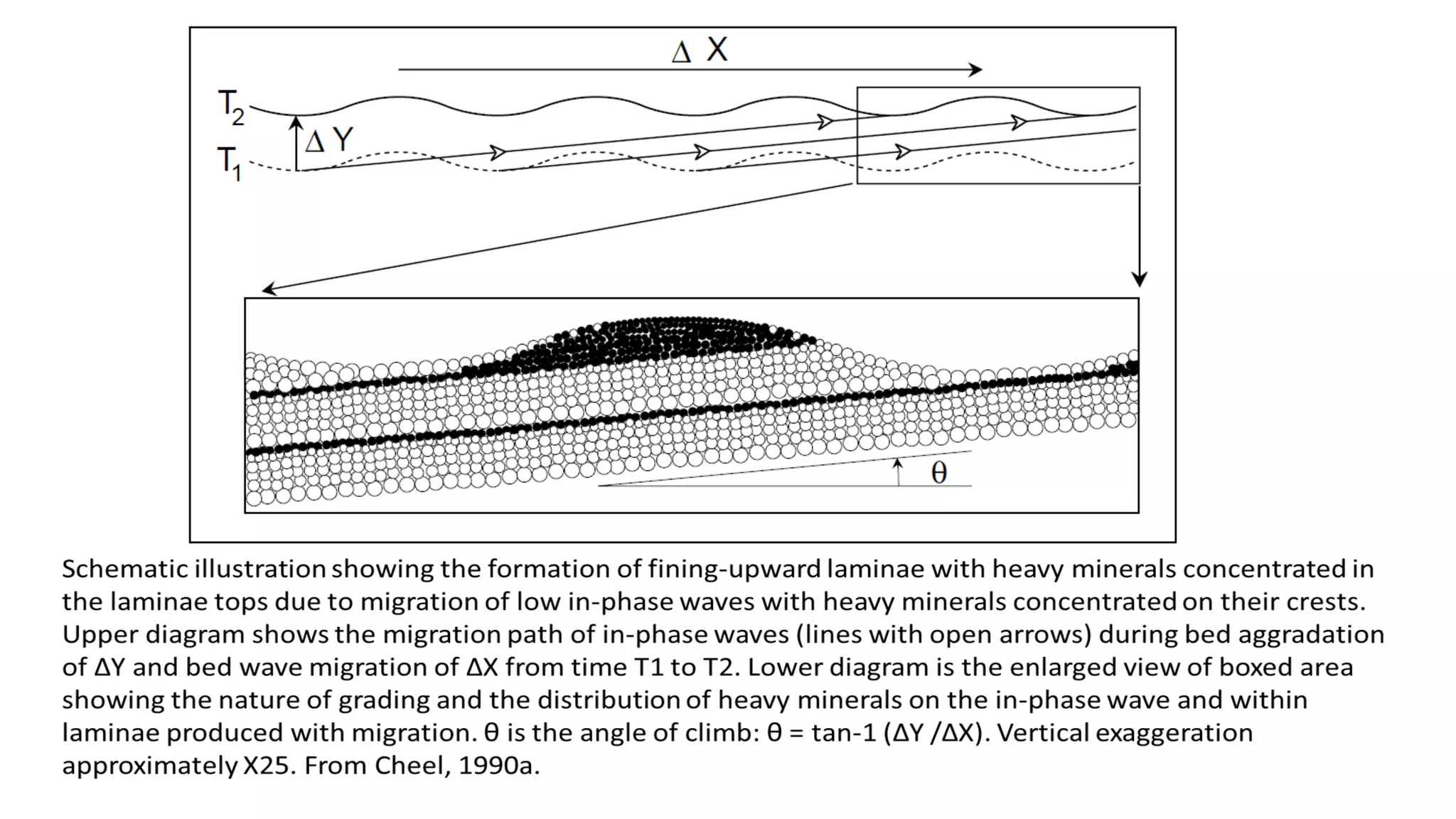 Sedimentary structures, Bedforms and Unidirectional Flow | PDF