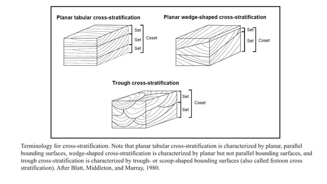 Sedimentary structures, Bedforms and Unidirectional Flow | PDF