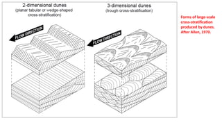 Sedimentary structures, Bedforms and Unidirectional Flow | PDF