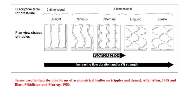 Sedimentary structures, Bedforms and Unidirectional Flow | PDF