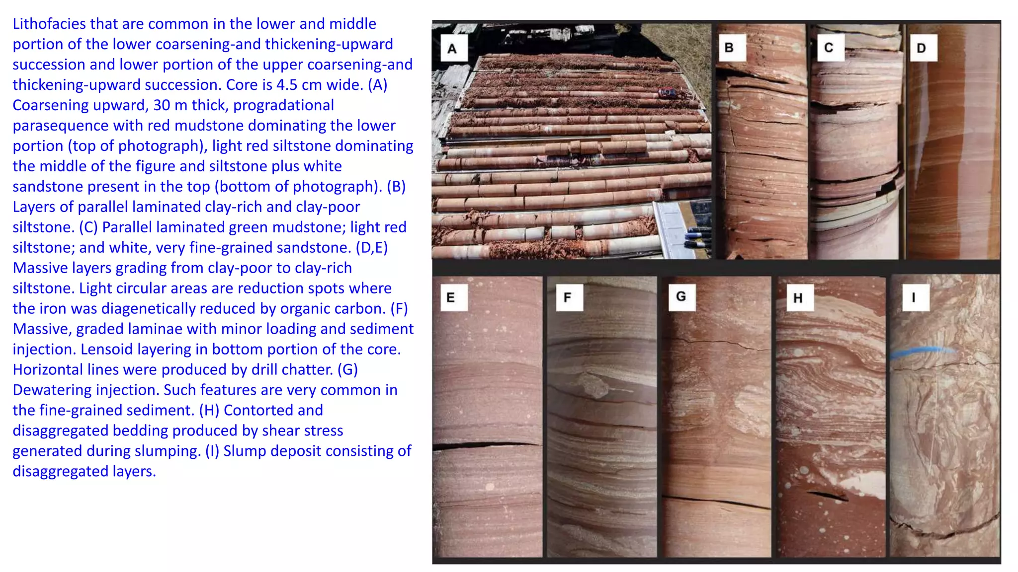 Sedimentology and Stratigraphy of a Large, Pre-Vegatation Deltaic ...