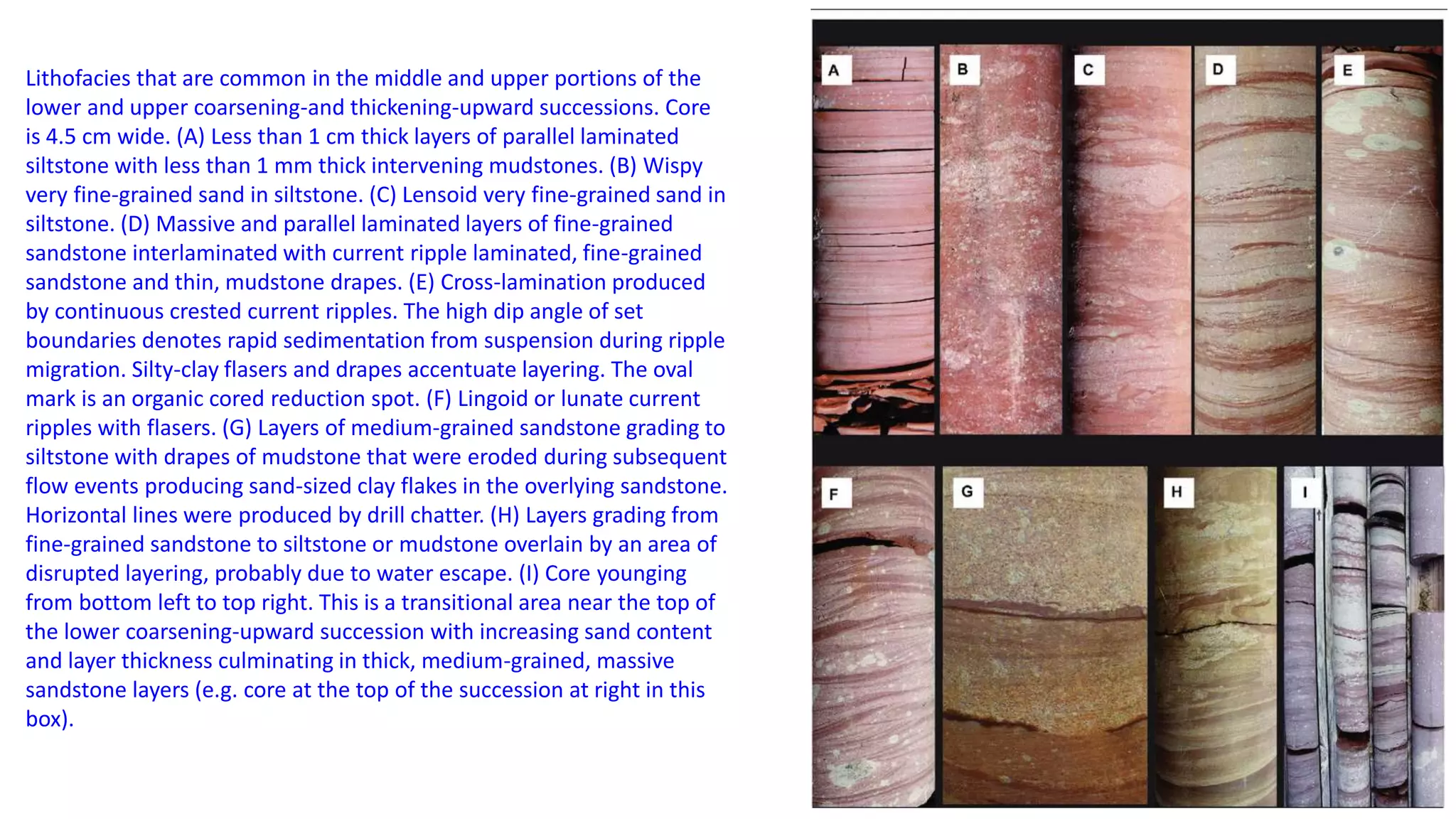 Sedimentology and Stratigraphy of a Large, Pre-Vegatation Deltaic ...