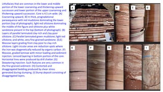 Sedimentology and Stratigraphy of a Large, Pre-Vegatation Deltaic ...