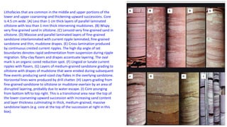 Sedimentology and Stratigraphy of a Large, Pre-Vegatation Deltaic ...