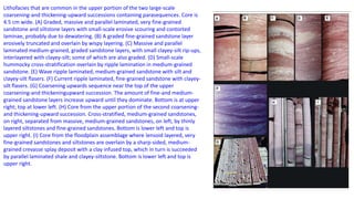 Sedimentology and Stratigraphy of a Large, Pre-Vegatation Deltaic ...