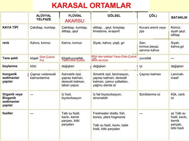 Sedimentoloji_5.Ders_.pdf