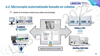 sedimento urinario caracteristicas y su formacion | PDF