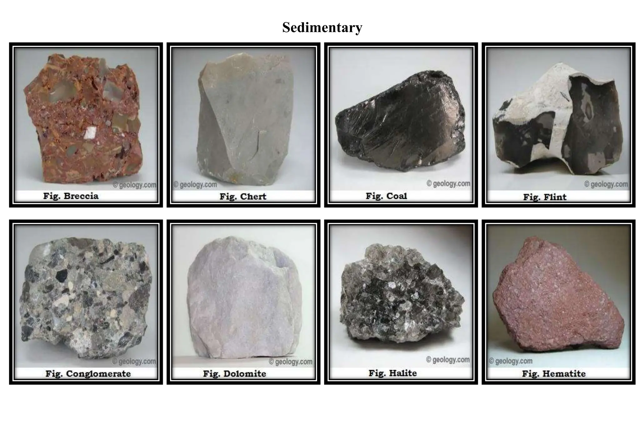 s e d i m e n t r y .sasfsfqsfsfsadgagga p p t x | PPT