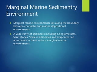 Sedimentry environments | PPT