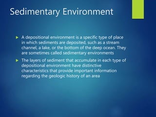 Sedimentry environments | PPTX