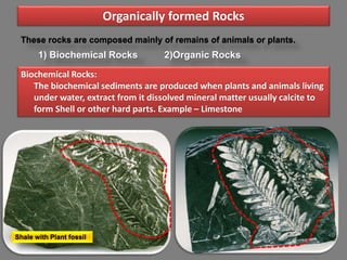 Sedimentary Rocks | PPTX