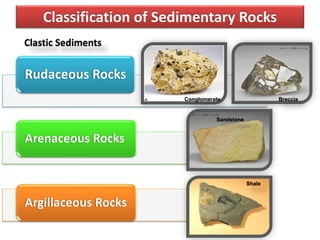 Sedimentary Rocks | PPTX