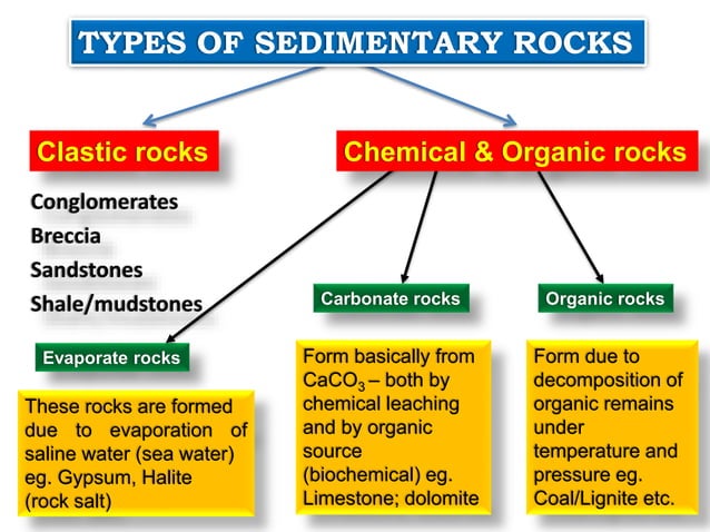 Sedimentary Rocks