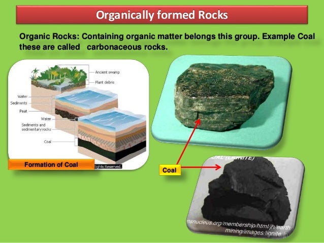 Sedimentary Rocks