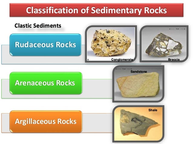 Sedimentary Rocks