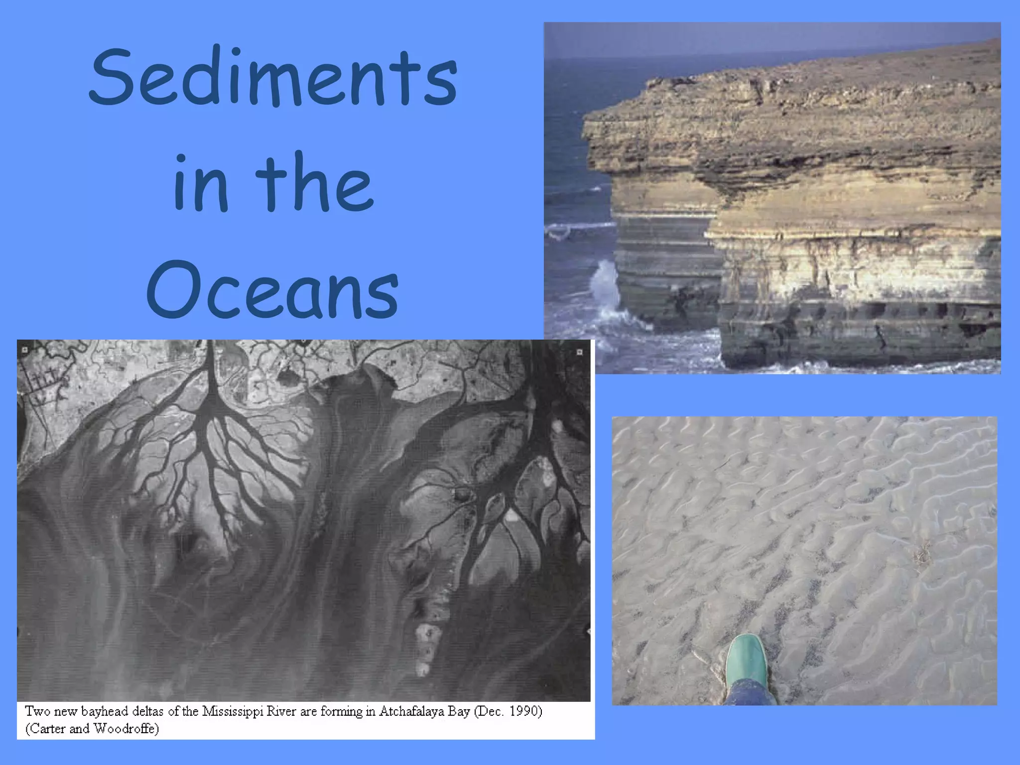 Sediments in the ocean powerpoint | PPT