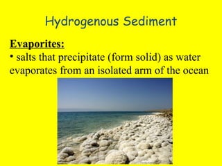 Sediments in the ocean powerpoint | PPT
