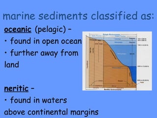 Sediments in the ocean powerpoint | PPT