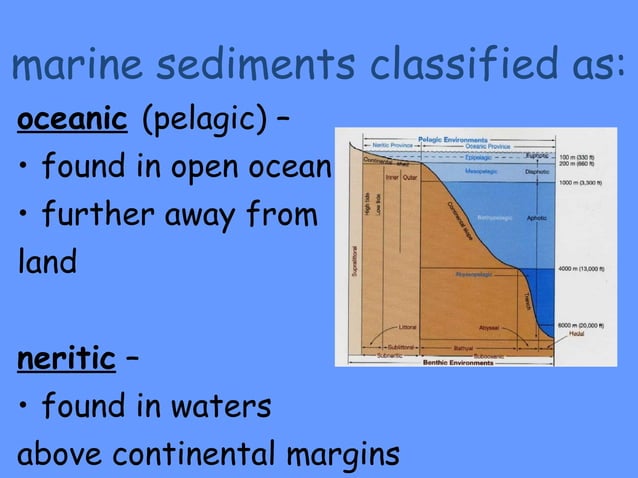 Sediments in the ocean powerpoint | PPT | Geography | Science