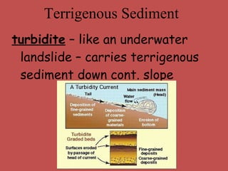 Sediments in the ocean powerpoint | PPT