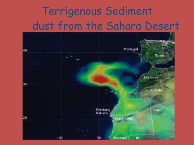 Sediments in the ocean powerpoint | PPT | Geography | Science