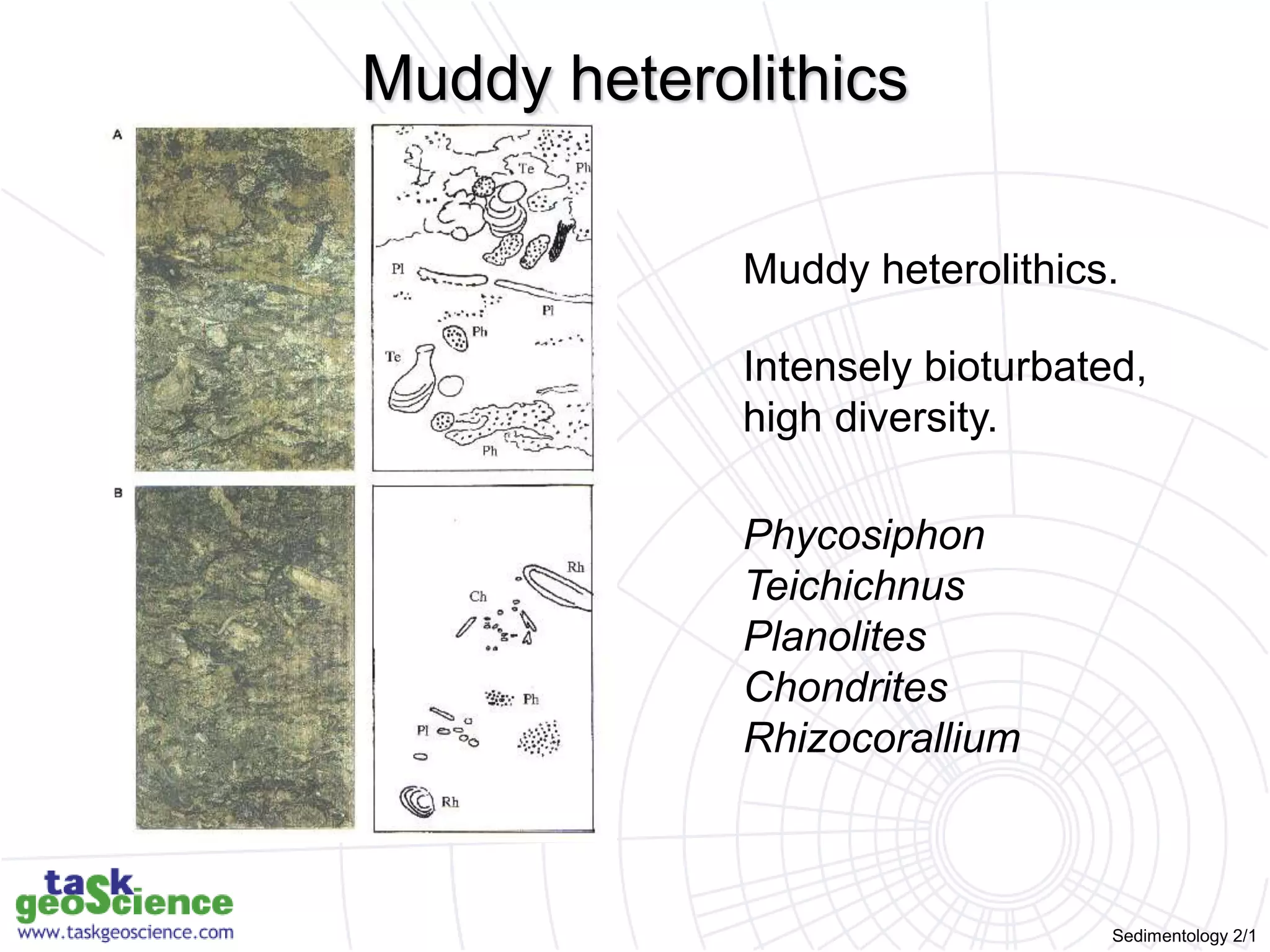 sediment's texture.ppt