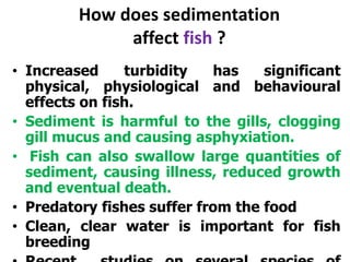 Sediments transportation | PPTX