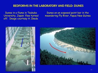 Sediment Transport in Open Channel (b).pptx